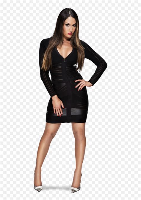 Com Profil Pic Nikki Bella Black Dress Hd Png Download Vhv