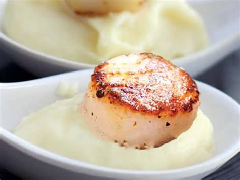 Sea Scallops And Parsnip Cream Camfam Cookery