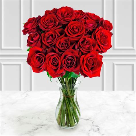 Red Rose Flowers Photos A Single Velvety Red Rose — Flowers By Carly