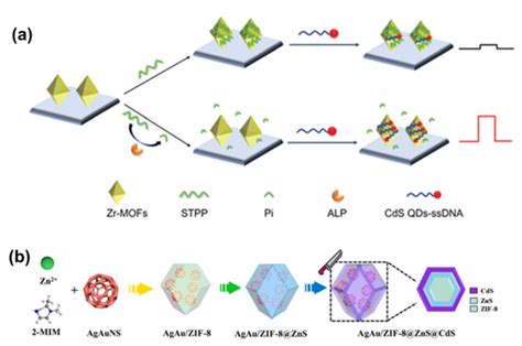 Chemosensors Free Full Text Recent Advances In Metal Organic Frameworks For Biomacromolecule