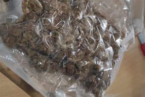 කෝටි එකහමාරක මත්ද්‍රව්‍ය රේගුව සොයාගනී Lankadeepa Online