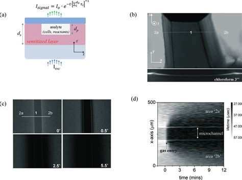 A A Schematic Illustration Of The Sensor Distribution Red And Download Scientific Diagram