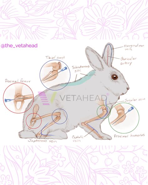 Grimace Scales Artofit