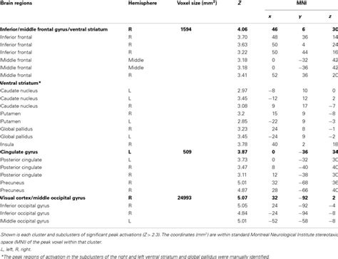 Peak Activations For The Outcome Phase Peak Activations For Reward Download Table