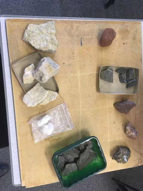 Diagram Of F2 Sedimentary Rock Samples Quizlet