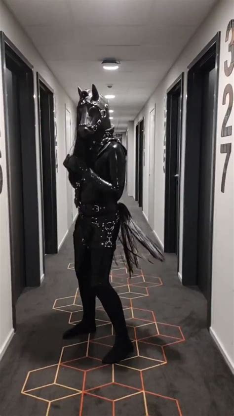 Arion The Pon Arionthepony Twitter