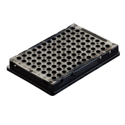 141351 Opaque Thin Wall Pcr Plates Rnase And Dnase Free Black 50