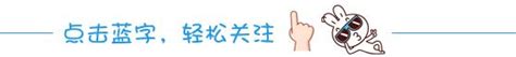 elasticsearch压力测试工具之esrally使用说明 知乎