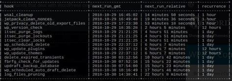 an introductory guide to managing wordpress with wp cli — sitepoint