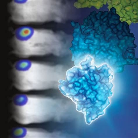 Bruker Preclinicalimaging Bioluminescence Technote Spectral