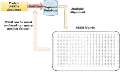 Building A Pssm Matrix 44 Download Scientific Diagram