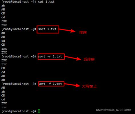 Shell（ Sort Uniq Tr Cut）shell 将文件内容排序后输出 Csdn博客
