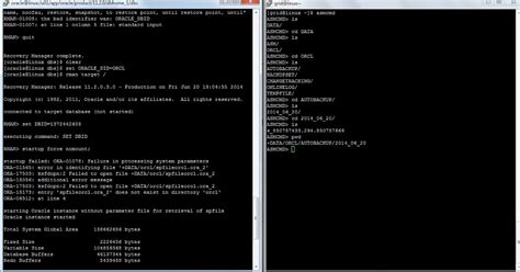 Oracle Dba User Guide Database Recovery With Rman Backup Disaster Recovery