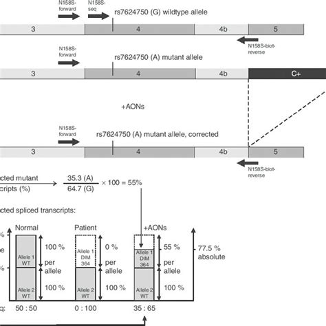 pyrosequencing assay for detection of correctly spliced transcript in