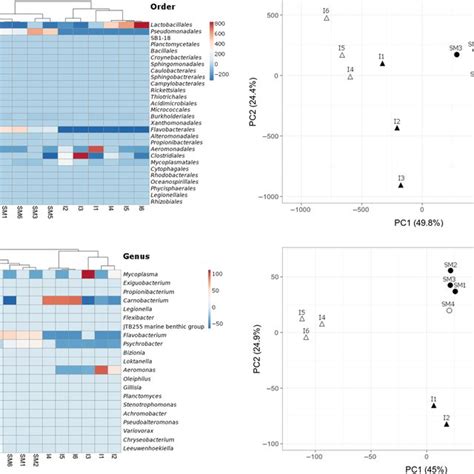 A Hierarchically Clustered Heatmap Of The Microbial Profiles Of