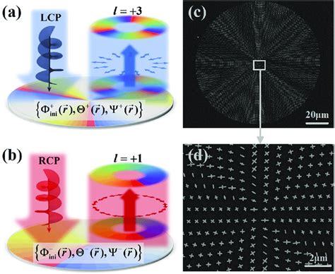 Expected Bifunctionalities Of Metadevice I And Its Sample Picture