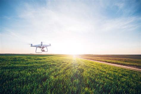 Фунгициды виды характер распространения действия и способ применения