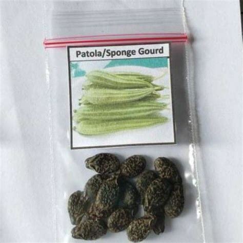 Patolasponge Gourd Kabatiti 15 Seeds Shopee Philippines