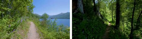 Figure 3 From An Effective Forest Fire Detection Framework Using Heterogeneous Wireless