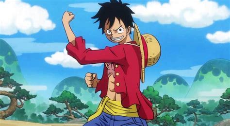 All Of Luffys Crew Straw Hat Pirates 10th Member