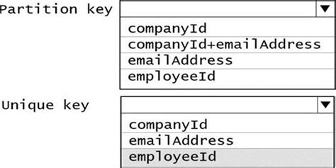 To What Should You Set The Partition Key And The Unique Key