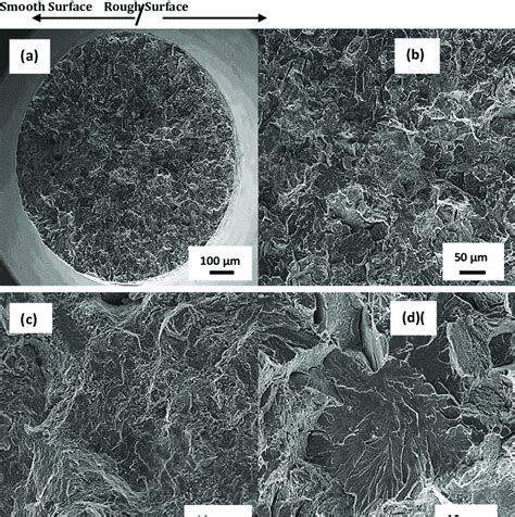 Scanning Electron Micrographs Of The Tensile Fracture Surface Of