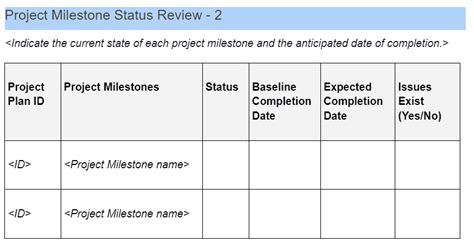 Project Status Reports Templates And Examples