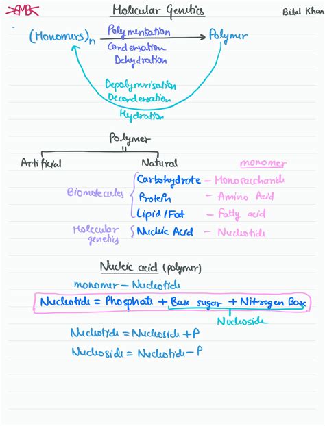 SOLUTION Molecular Basis Of Inheritance Genetics Studypool