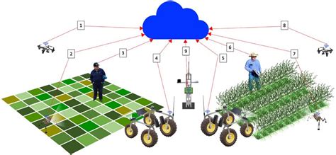 Overview Of High Throughput Phenotyping Tools For Modern Turfgrass Download Scientific Diagram Overview Of High Throughput Phenotyping Tools For Modern Turfgrass Download Scientific Diagram
