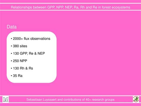 Ppt Relationships Between Gpp Npp Nep Ra Rh And Re In Forest Ecosystems Sebastiaan