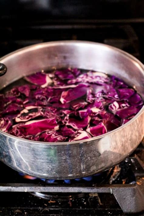 Red Cabbage Indicator