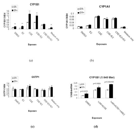 Estrogen Receptor α Increases Basal And Cigarette Smoke Extract Induced