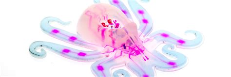 The Octobot” Is The Worlds First Autonomous Soft Bodied Robot