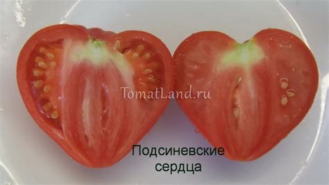 Томат Подсиневские сердца минусинские: ОТЗЫВЫ, фото, урожайность ...