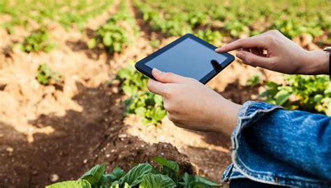 Fresh Awards Finalists Launch New Features For Crop Tracking App