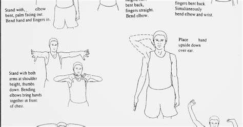 Ulnar Nerve Glides Printable Ulnar Nerve Glides Printable