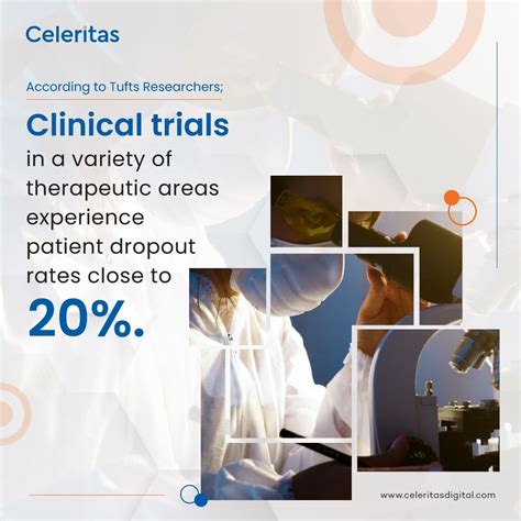 Celeritas Digital We Design And Build Technology For Businesses