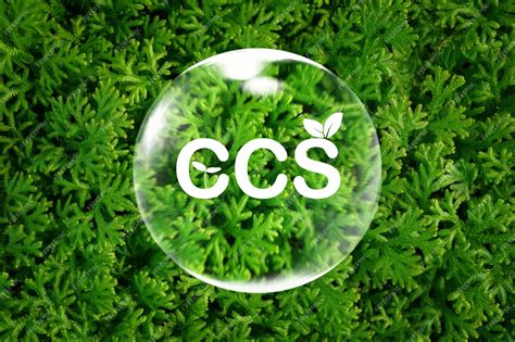 Premium Photo Carbon Capture Storage Ccs Text Inside Of Bubble On