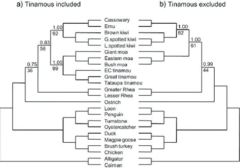 Avian Phylogenies Inferred From The Complete Mt Protein Third Codons