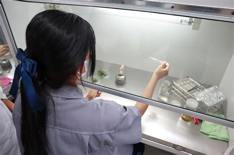 คณะวิทยาศาสตร์ มหาวิทยาลัยเชียงใหม่ Faculty Of Sciencecmu คณะวิทยาศาสตร์ มหาวิทยาลัยเชียงใหม่ Faculty Of Sciencecmu