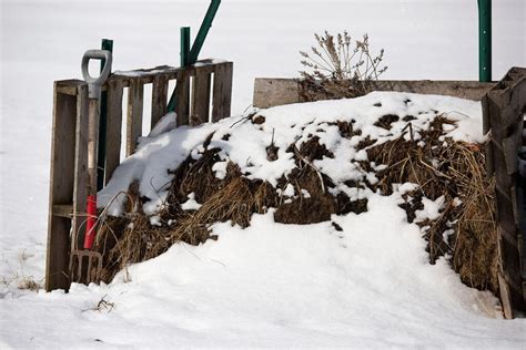 Different Composting Methods A Comprehensive Guide Patient Gardener