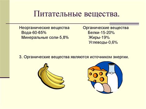Пищевые продукты питательные вещества и их превращения в организме