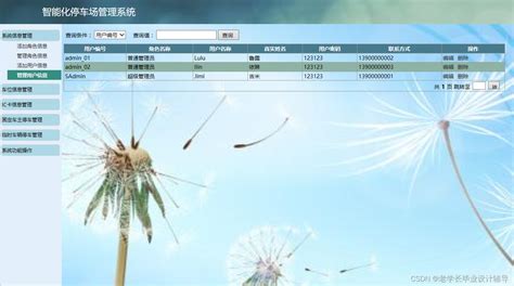 Javaweb基于jspservlet开发智能化停车场管理系统 大作业 毕业设计 Csdn博客