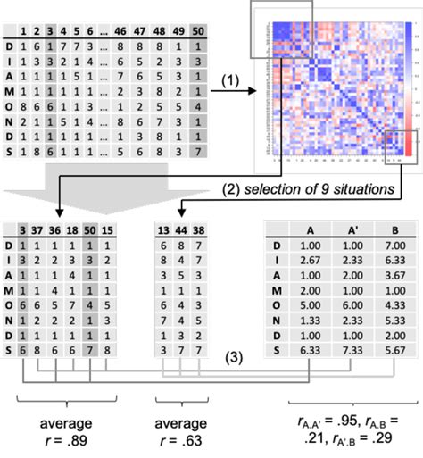 selection of functionally equivalent and non equivalent situations