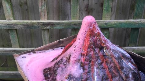 Science Fair Volcano Hypothesis At Lula Atchley Blog