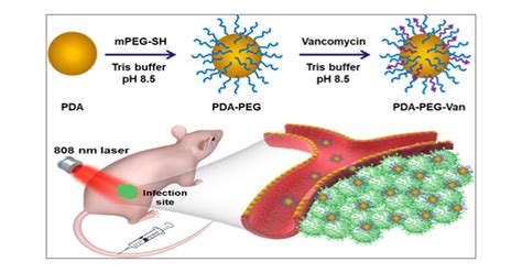 Methicillin Resistant Staphylococcus Aureus
