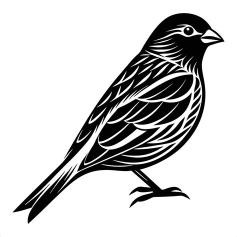 Silhouette Bird Minimalist Modern 58536470 Vector Art At Vecteezy