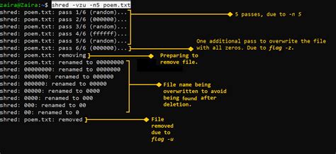 linux remove directory simplifying folder deletion tasks
