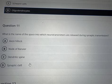 Solved Question 11what Is The Name Of The Space Into Which
