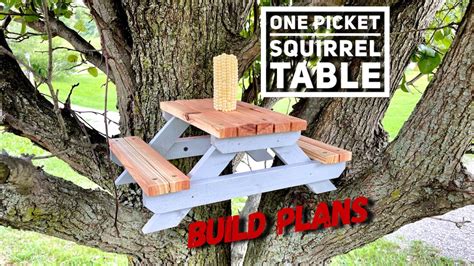 Squirrel Picnic Table Feeder Plans Squirrel Table Plans Pet Feeder